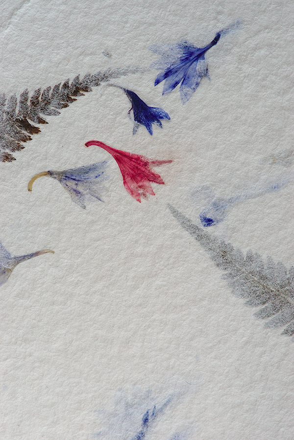 How to make paper to fit your artistic needs - Topeka & Shawnee County ...