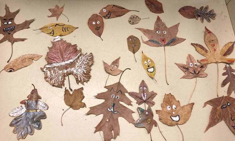 Design Leaf Friends - Topeka & Shawnee County Public Library