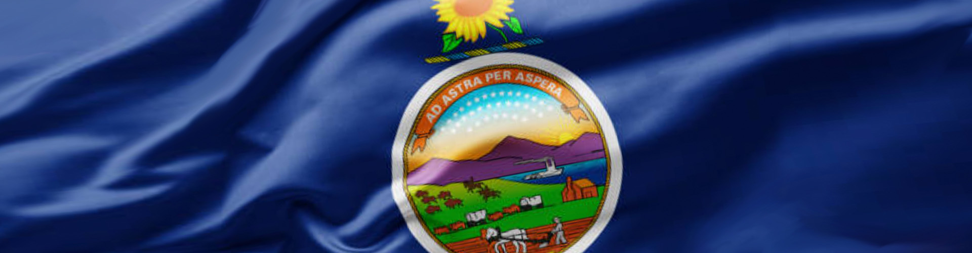Meet Five Inspired Female Kansas Artists - Topeka & Shawnee County ...