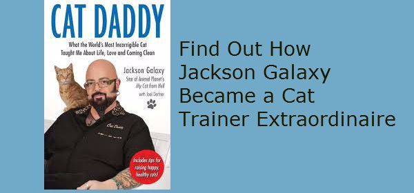 Cat Daddy - Topeka & Shawnee County Public Library