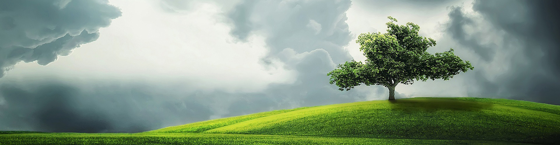 Explore state parks - Topeka & Shawnee County Public Library